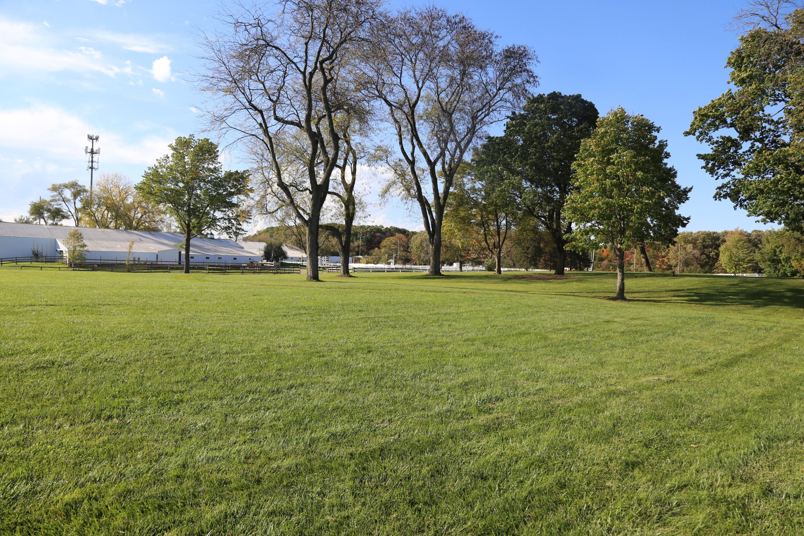 Meadowlark Park - Palatine Park District