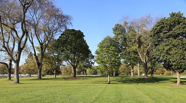 Meadowlark Park - Palatine Park District