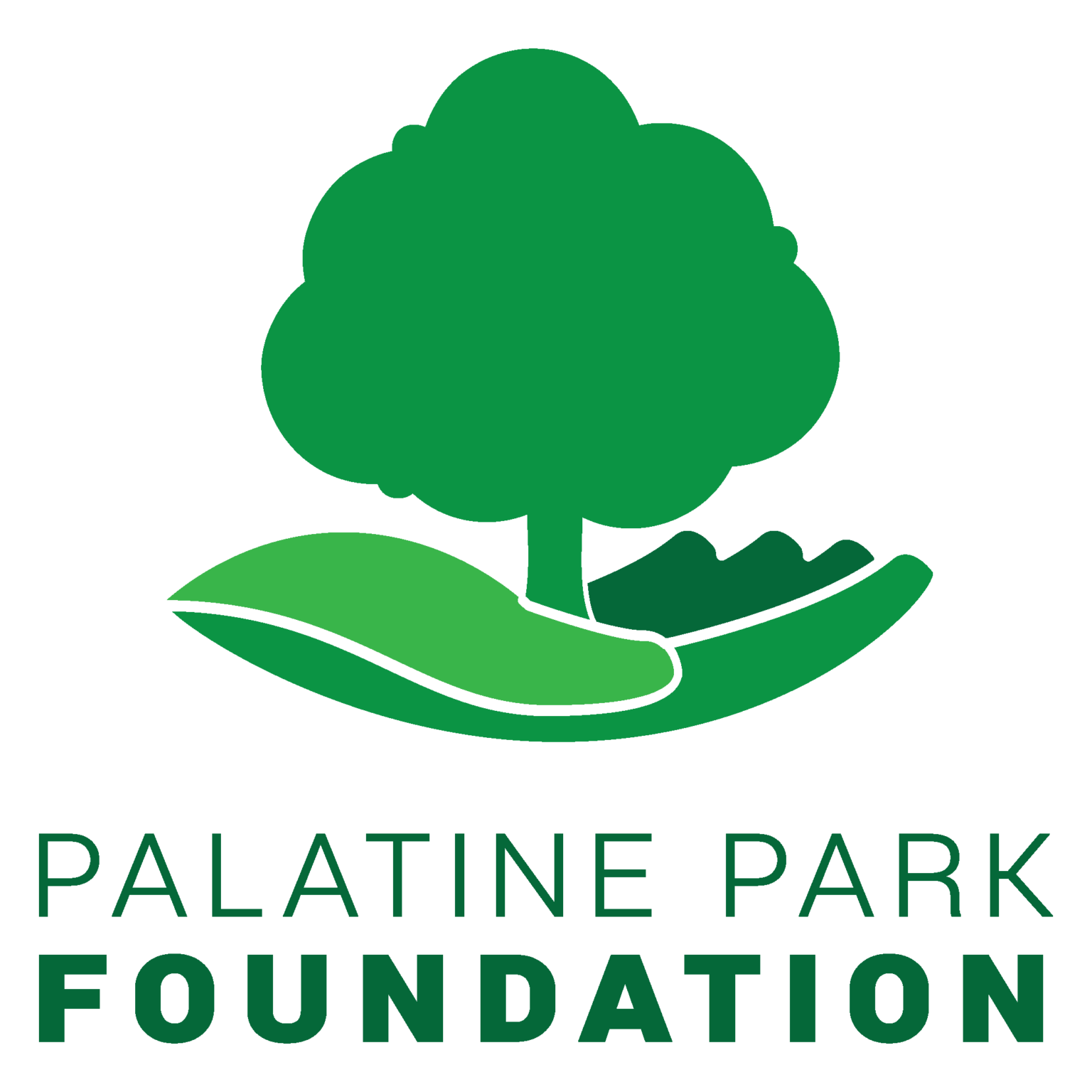About Us - Palatine Park District The Palatine Park Foundation